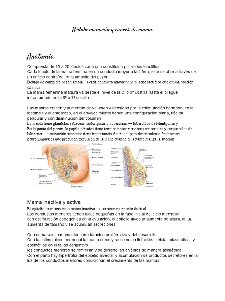 Nódulo Mamario y Cáncer de Mama | PDF | Cáncer de mama | Biopsia