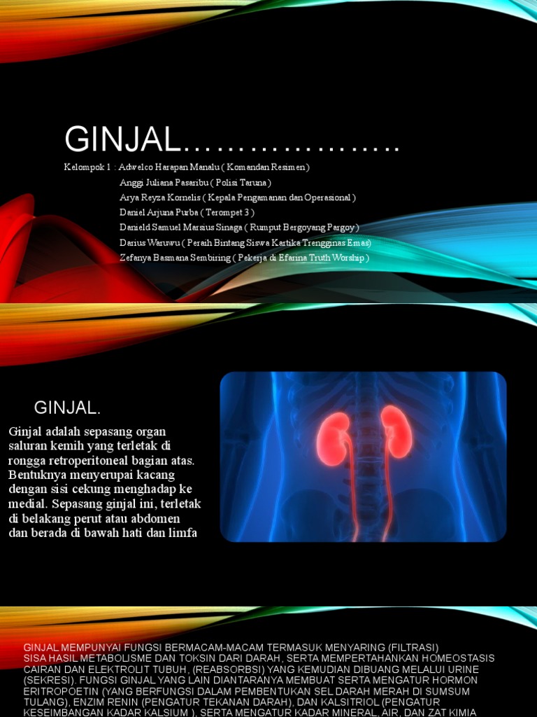 Ginjal Presentasi | PDF