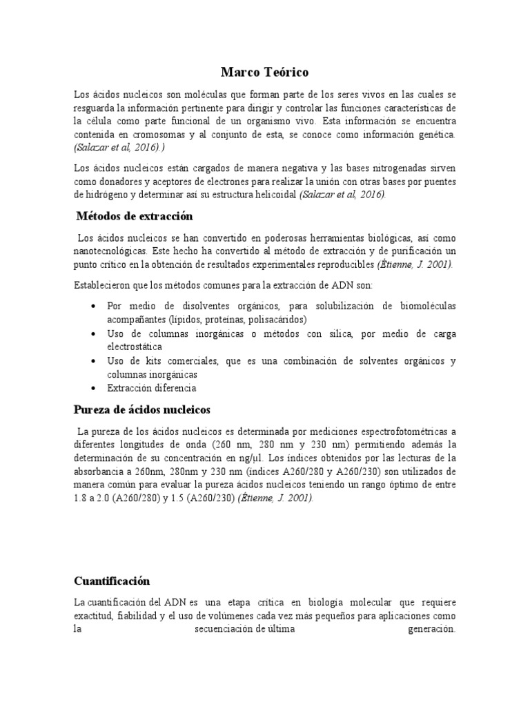 Marco Teorico BM | PDF