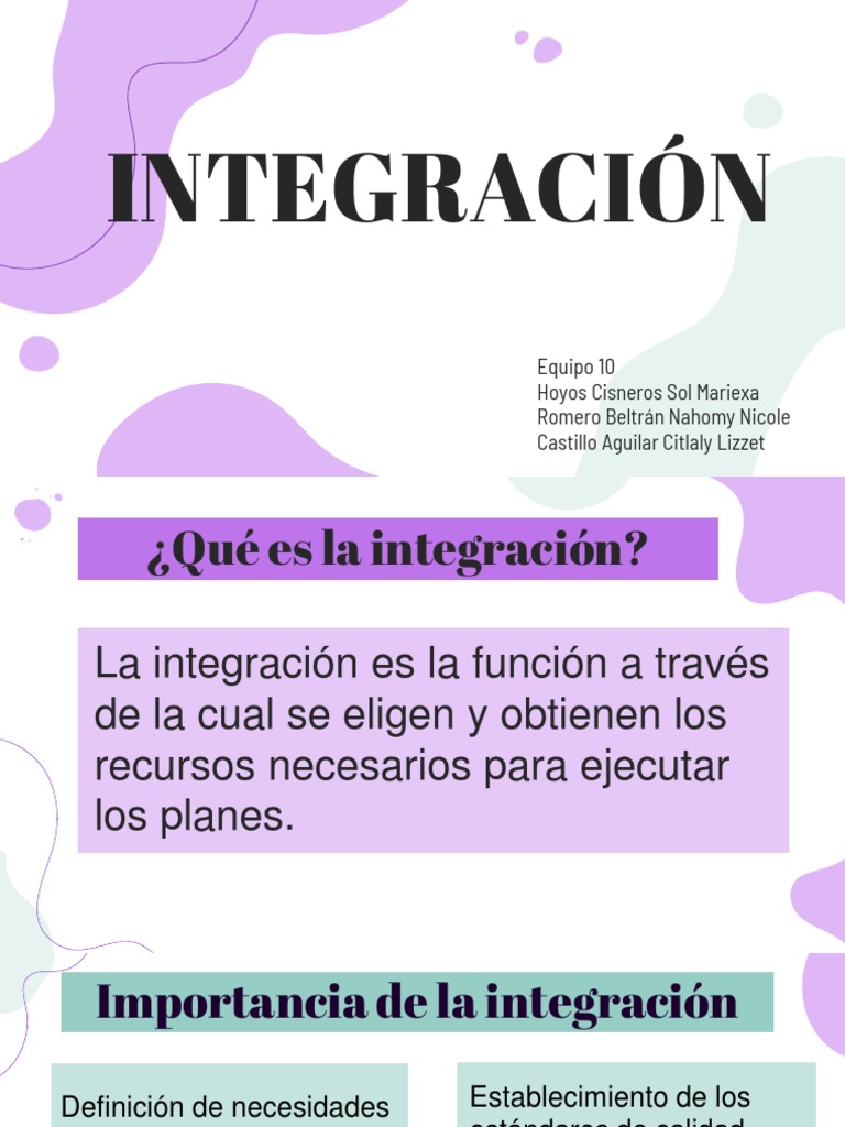 Definición y Principios de Integración | PDF | Negocios económicos ...