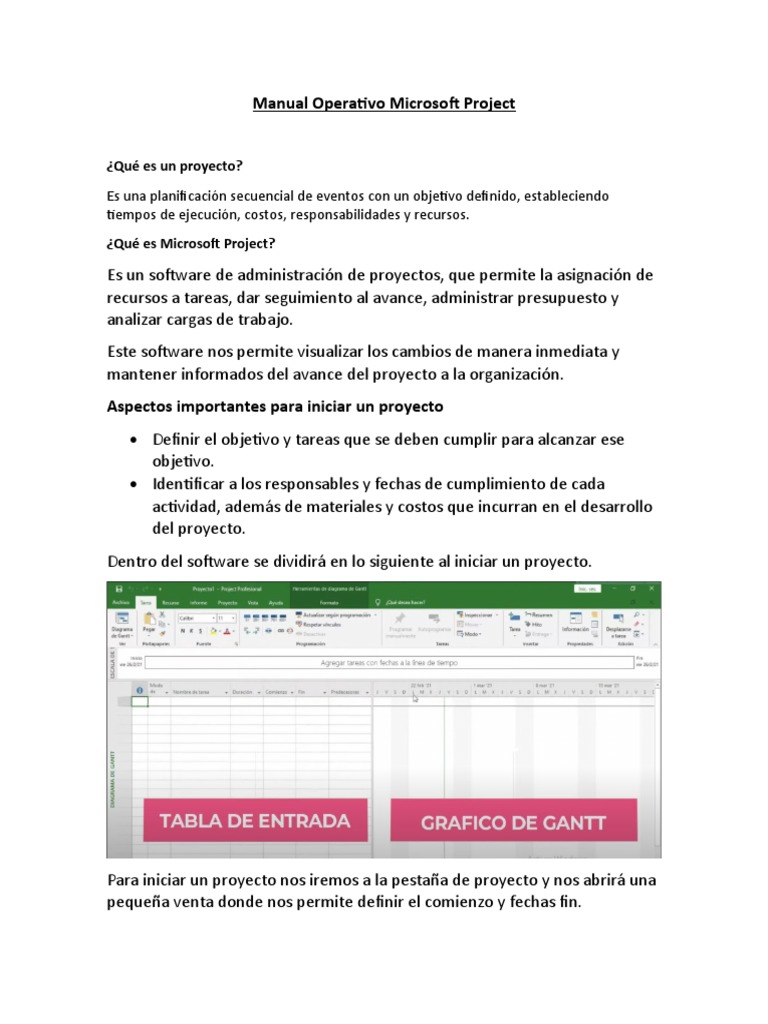 Manual Operativo Microsoft Project 2022 | PDF