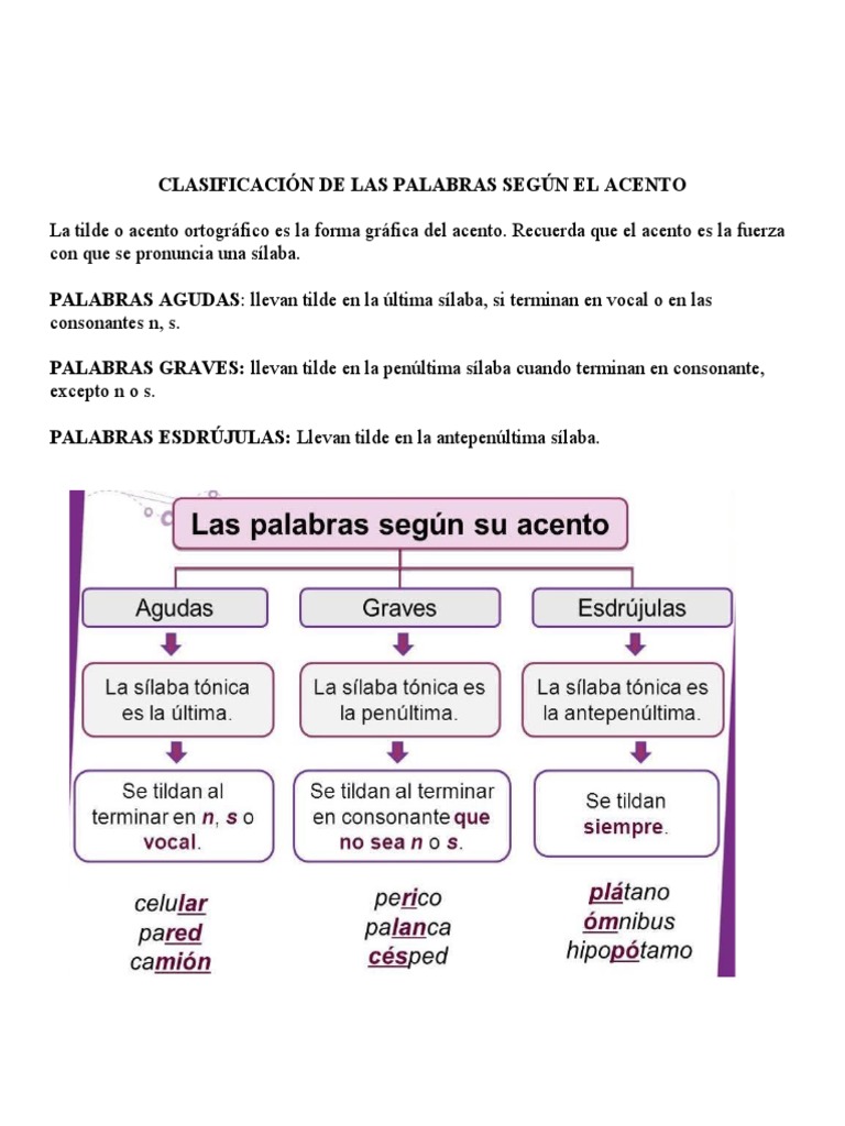 Actividades Décimo | PDF