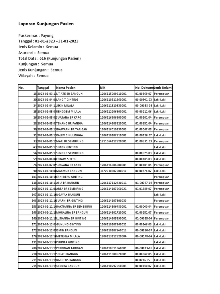 Laporan Kunjungan Pasien | PDF