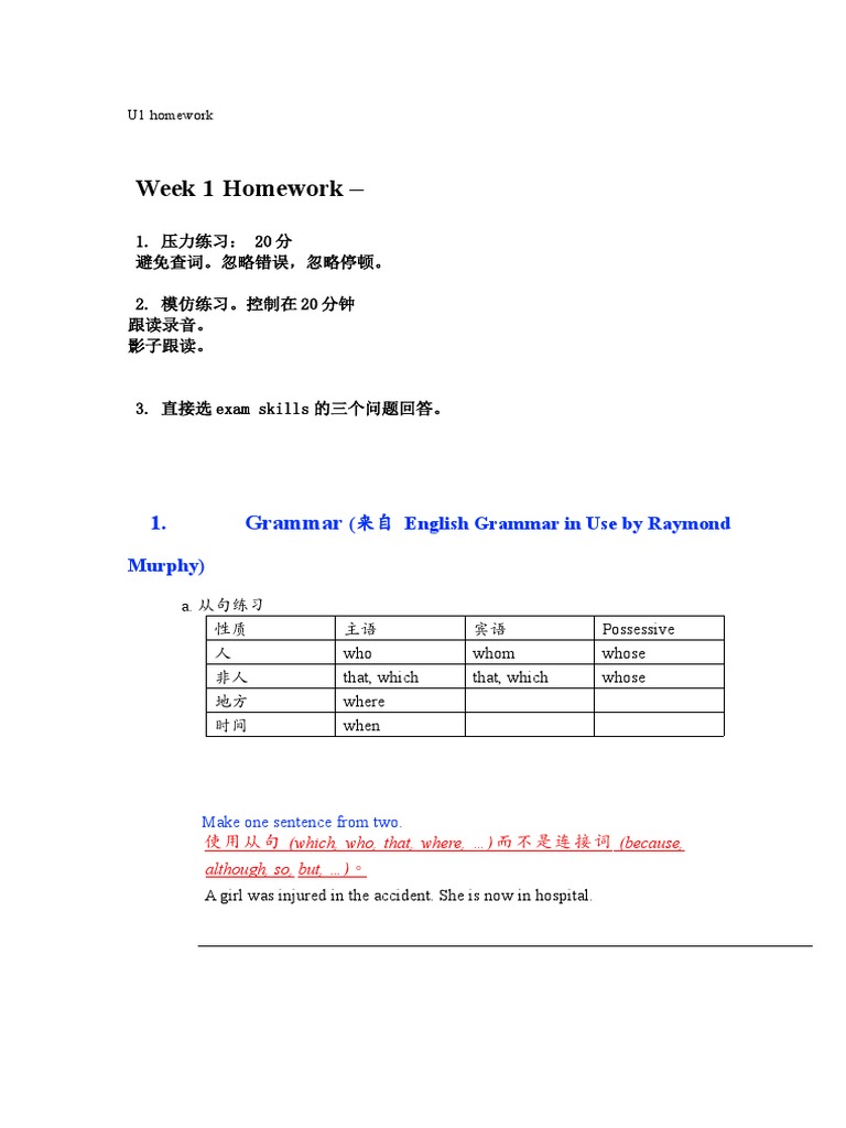 Week 1 Homework - Grammar, Translation, and Likes/Dislikes Practice | PDF
