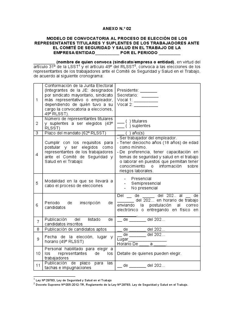 Anexo 2. Modelo de Convocatoria Al Proceso de Eleccion | PDF | Gobierno | Elecciones