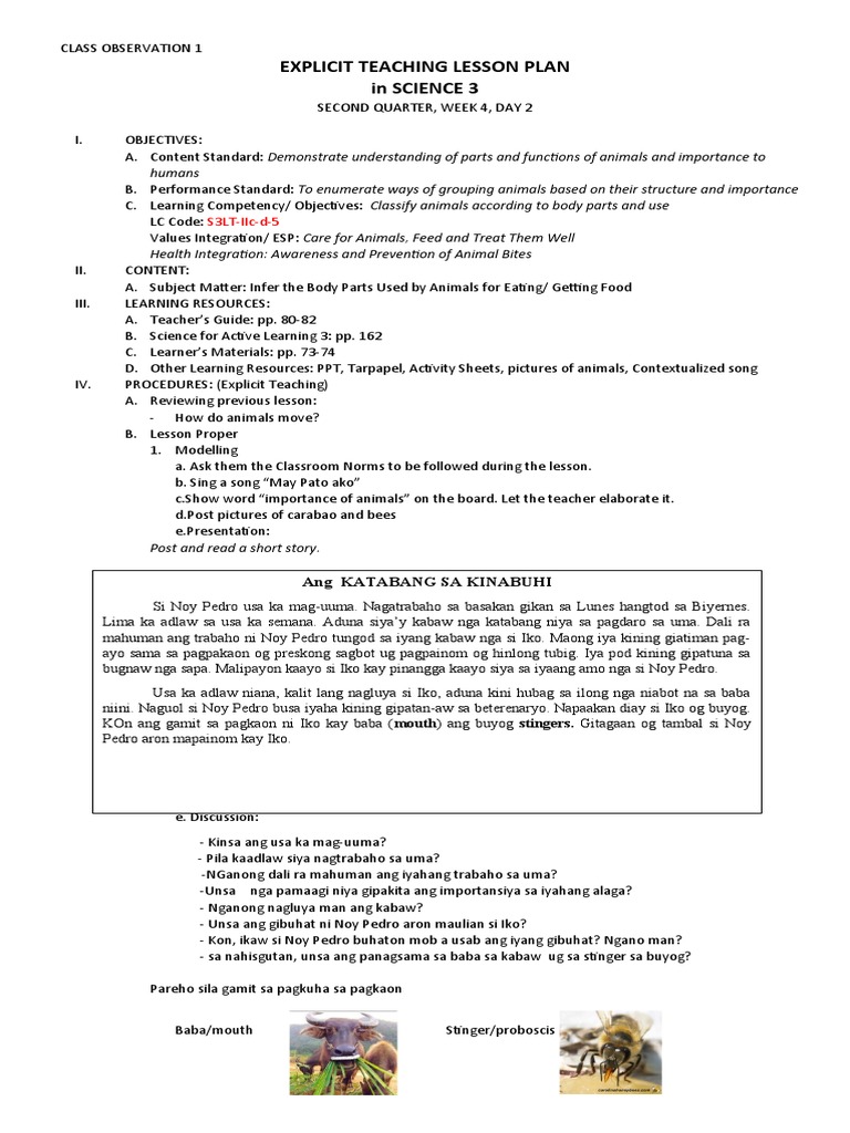 CO 2022 LESSON PLAN in SCIENCE 3 | PDF