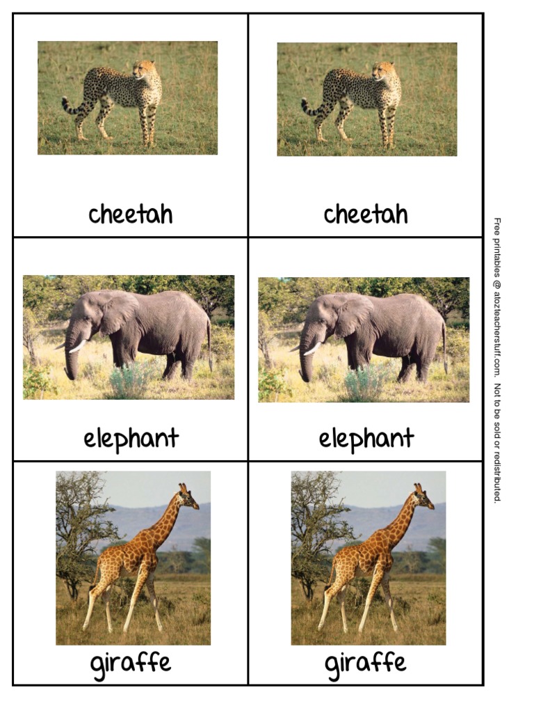 Safari Animals Printable Flashcards | PDF