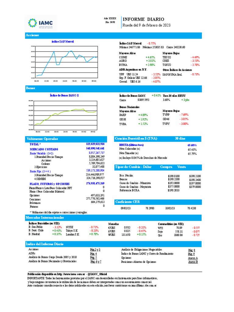 Informe Diario: Acciones | PDF | Compartir (Finanzas) | Opción (Finanzas)