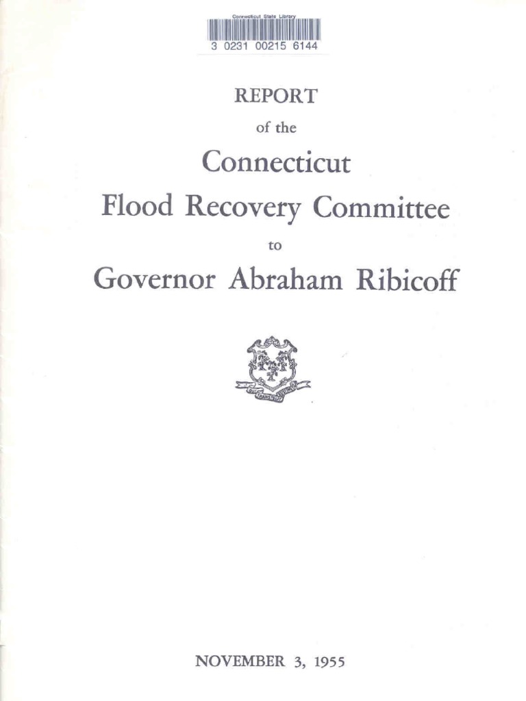 Flood of Report | PDF