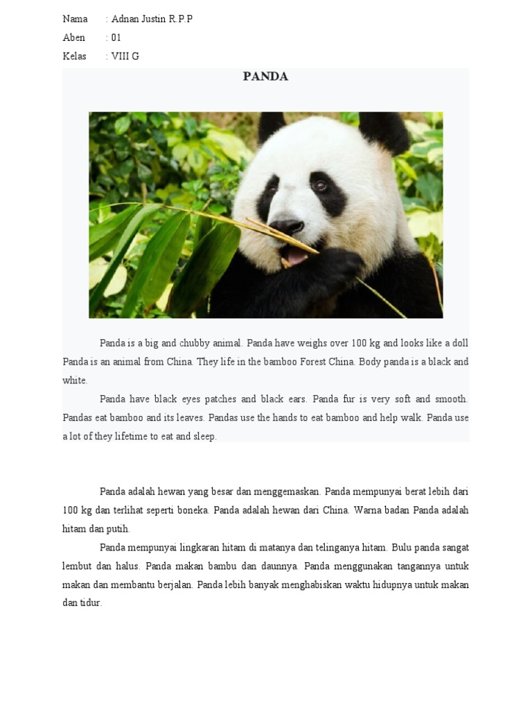 PANDA | PDF
