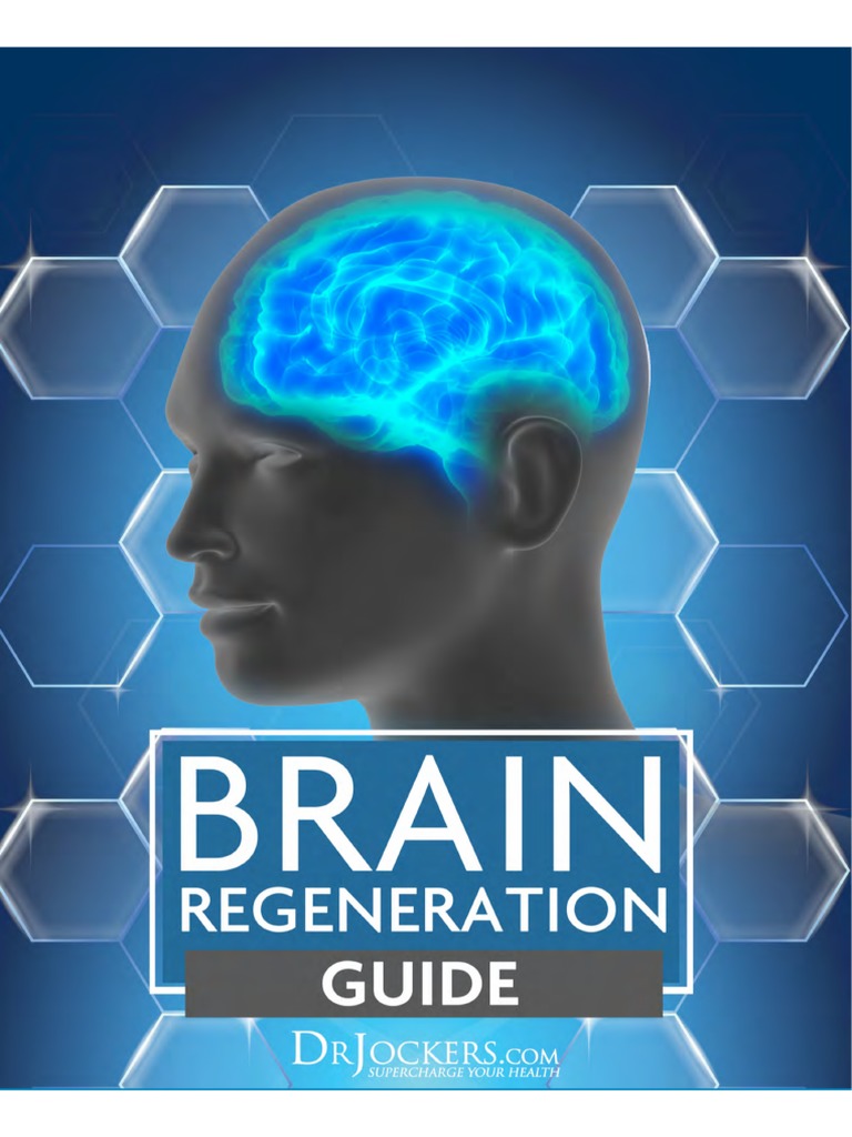 Brain Regeneration Guide | PDF
