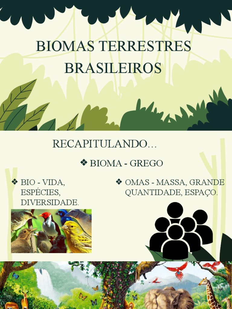 Biomas Brasileiros | PDF | Florestas | Floresta Amazônica