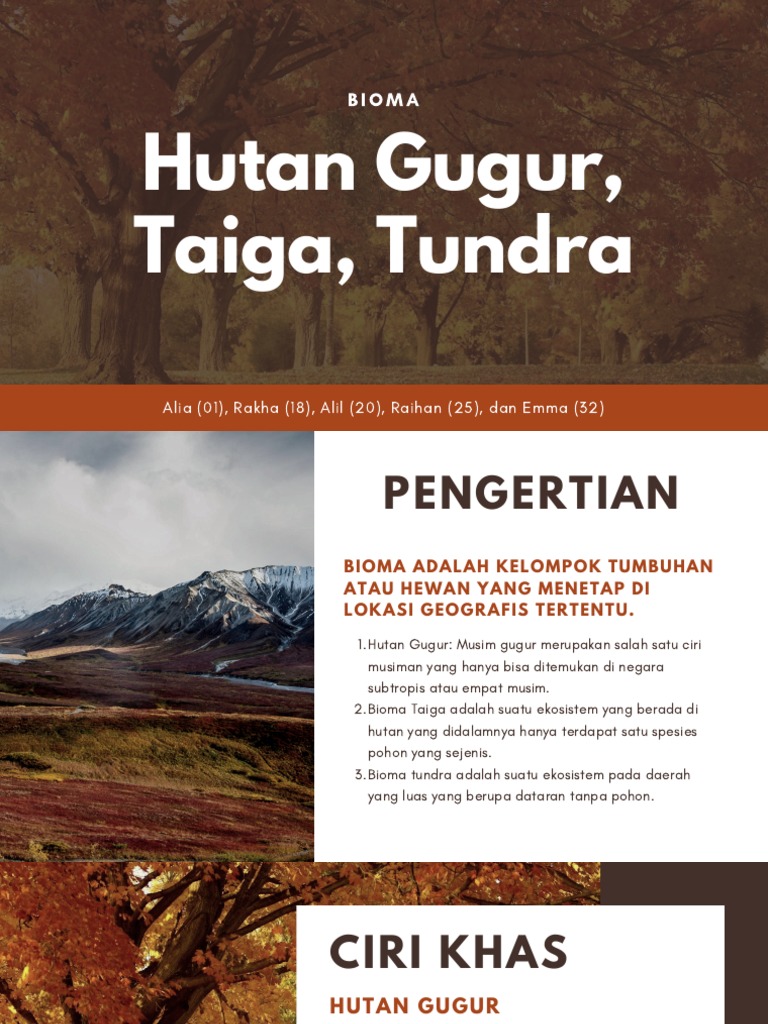 Hutan Gugur, Taiga, Tundra | PDF