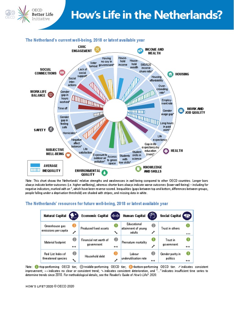 Better Life Initiative Country Note Netherlands | PDF | Poverty ...