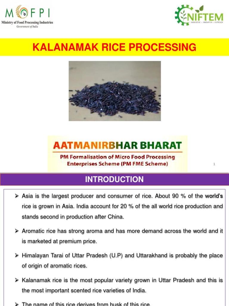 Processing of Rice | PDF | Rice | Flour