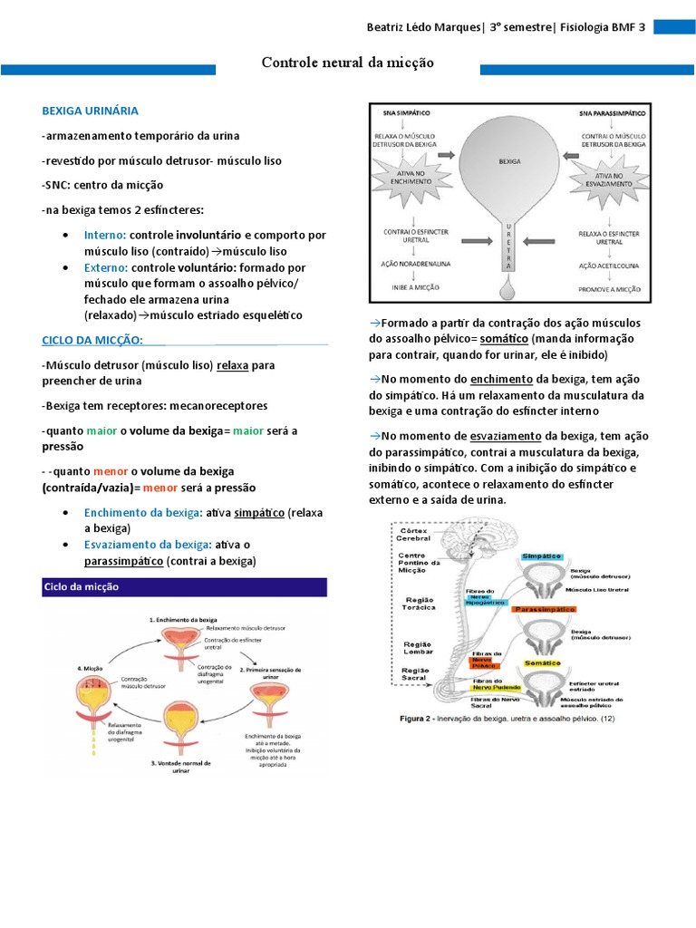 Controle Neural Da Micção | PDF | Micção | Bexiga urinária