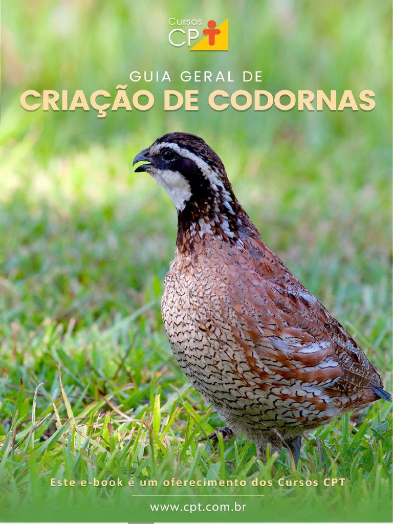 Guia Completo sobre Criação de Codornas | PDF | Aves | Sexo
