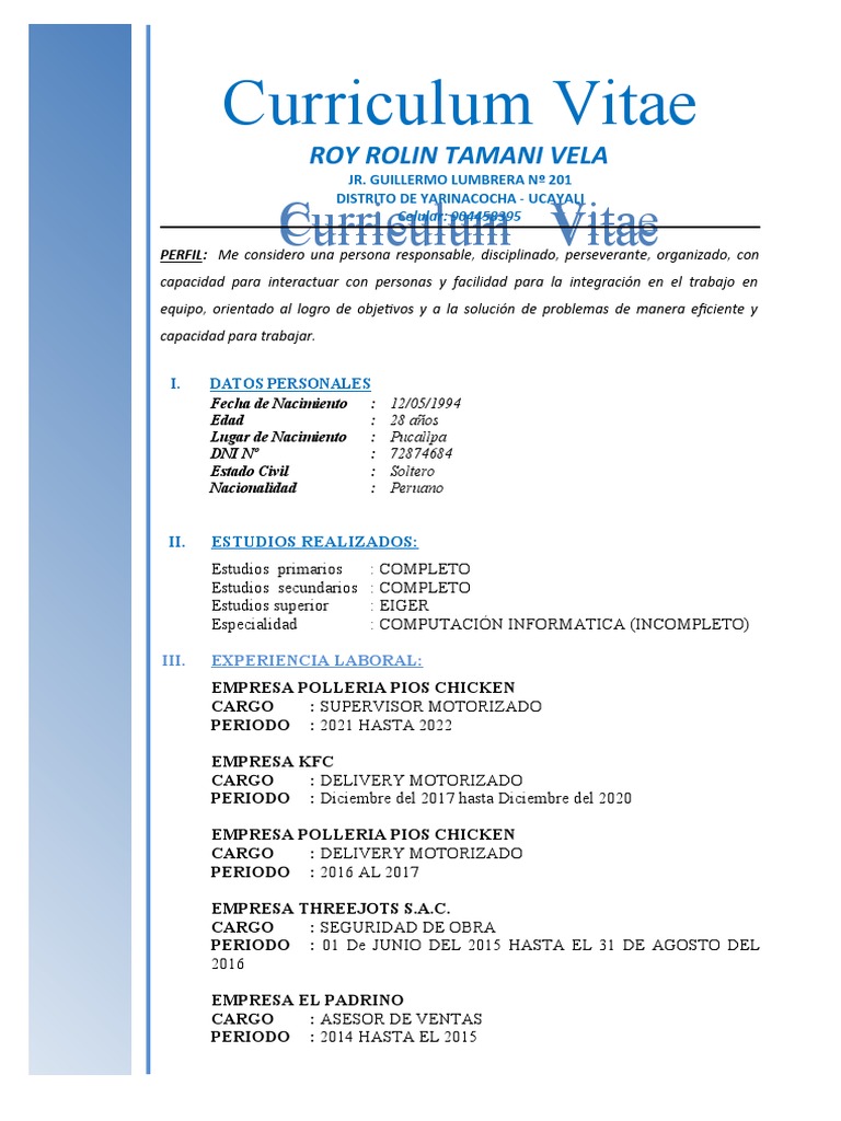Curriculum-Vitae Roy Rolin Tamani Vela | PDF