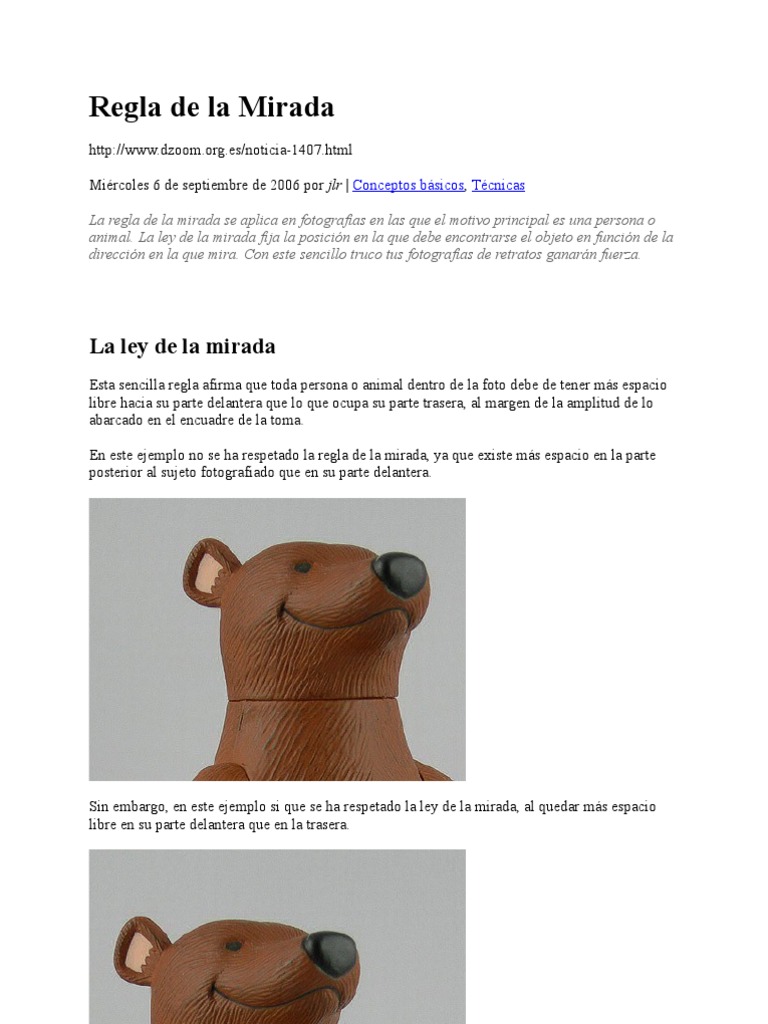 Regla de La Mirada | PDF