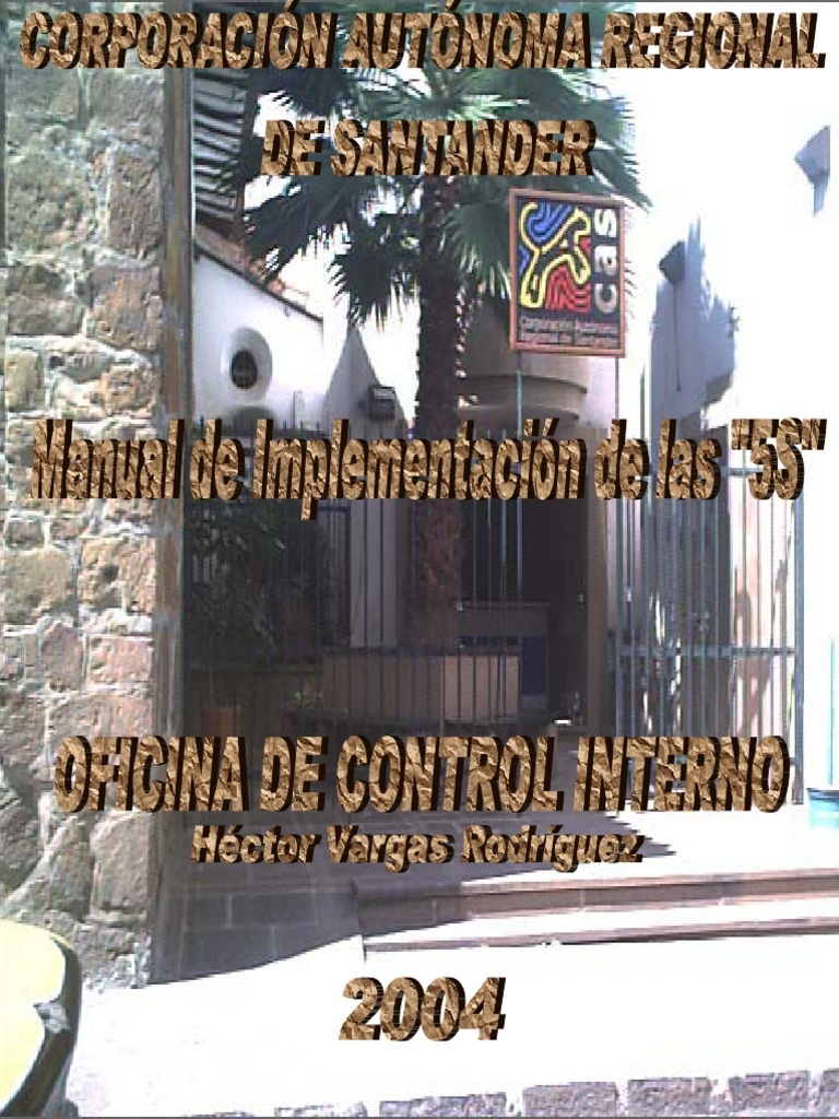 Manual de Implementacion Programa 5s Ver | PDF | Sustentabilidad | Calidad (comercial)