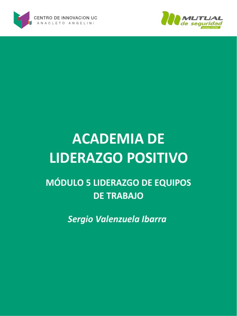 Modelo IMOI en Liderazgo de Equipos | PDF | Liderazgo | Cohesión grupal