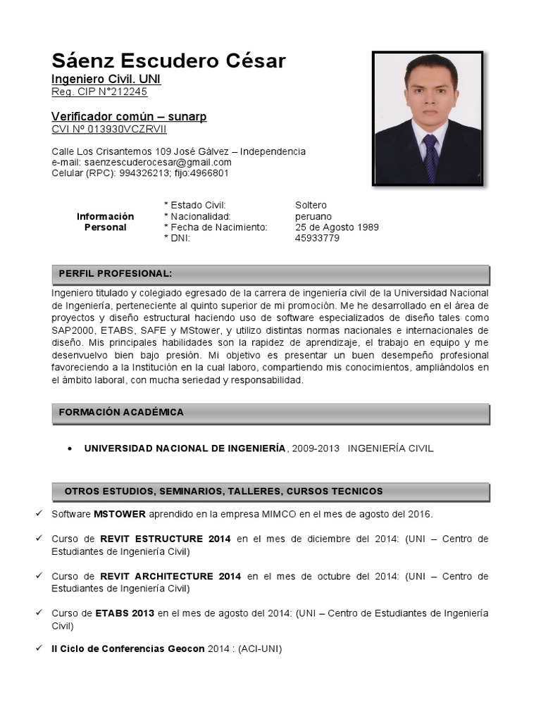 Cesar - Saenz Curso | PDF | Ingeniero civil | Diseño