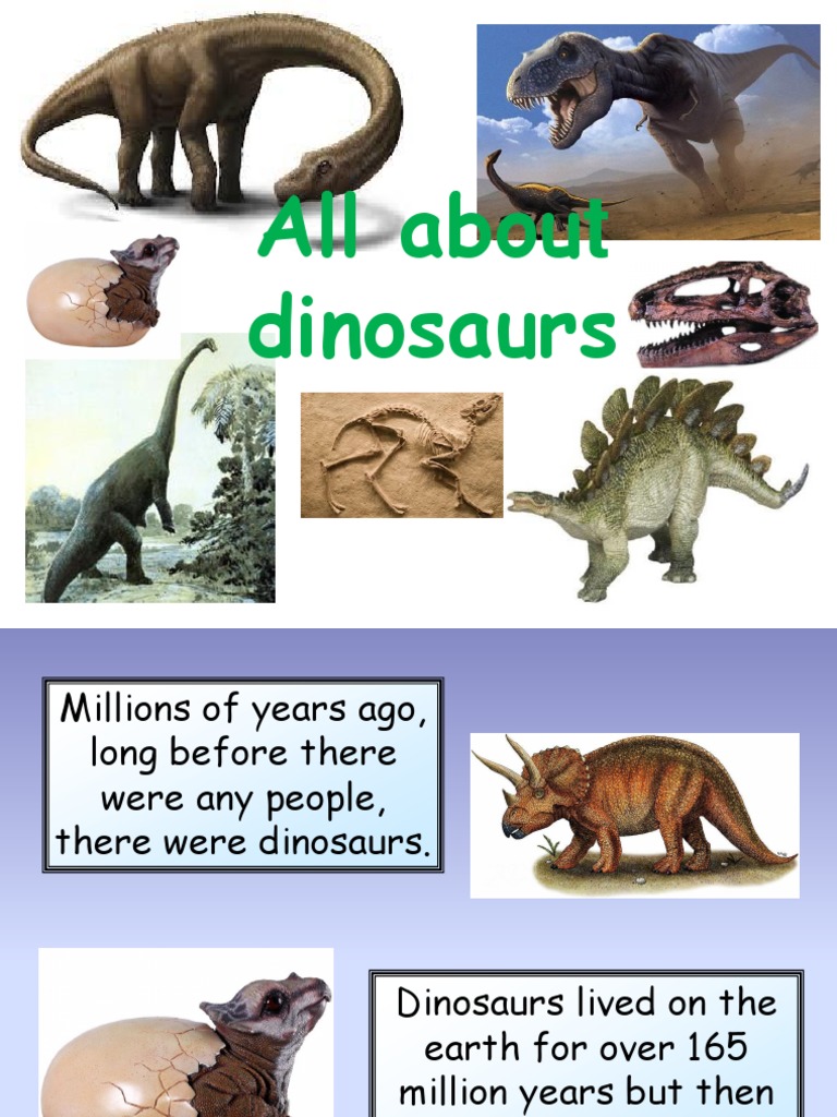 All About Dinosaurs PDF | PDF