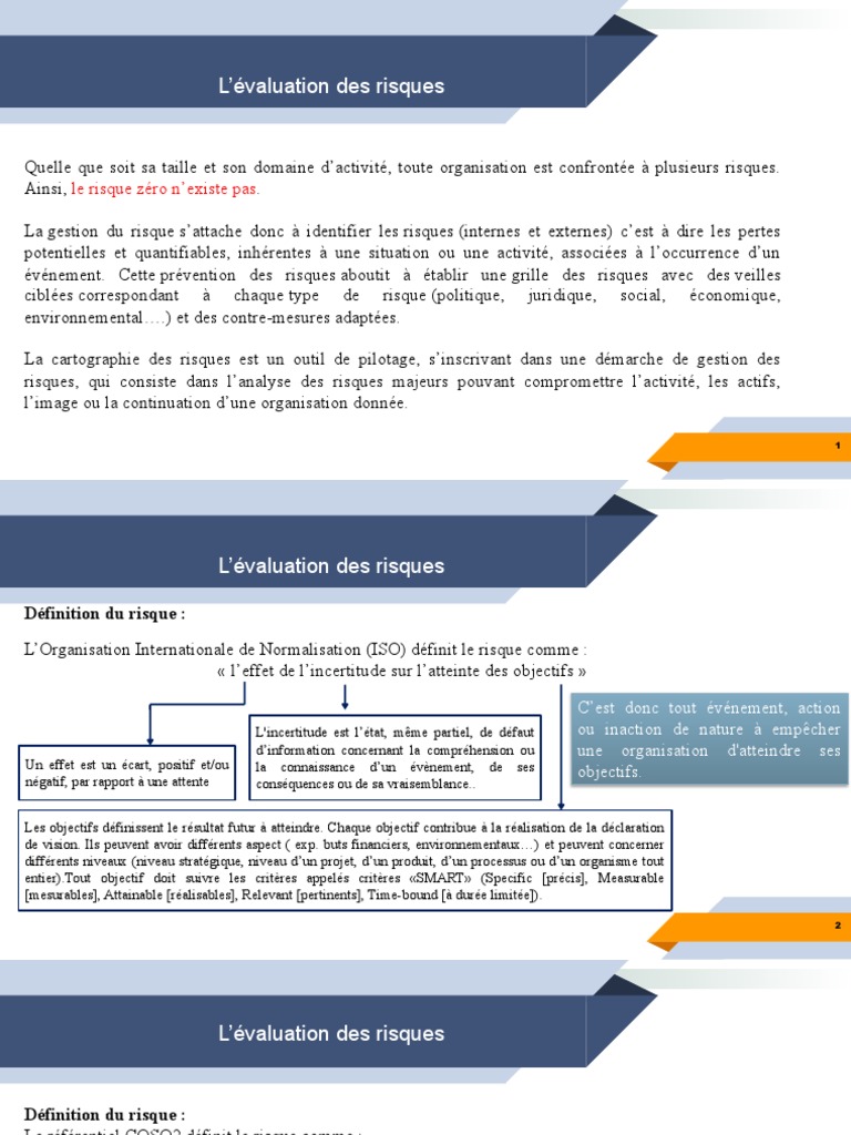 Gestion Des Risques D'un Projet | PDF | Risque | Gestion des risques