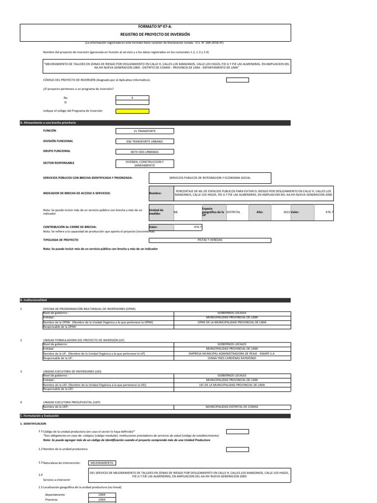 Formato 07-Comas | Descargar gratis PDF | Infraestructura | Mercado ...