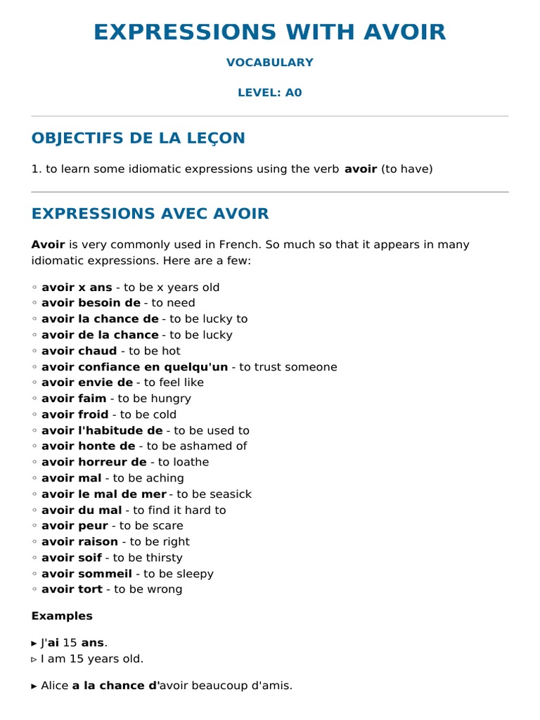 Expressions With Avoir Support Guide | PDF