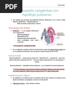 Protocolo Rush | PDF | Ultrasonido médico | Sistema cardiovascular