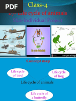 Grade 4 Life Cycles of Animals | PDF | Pupa | Insects
