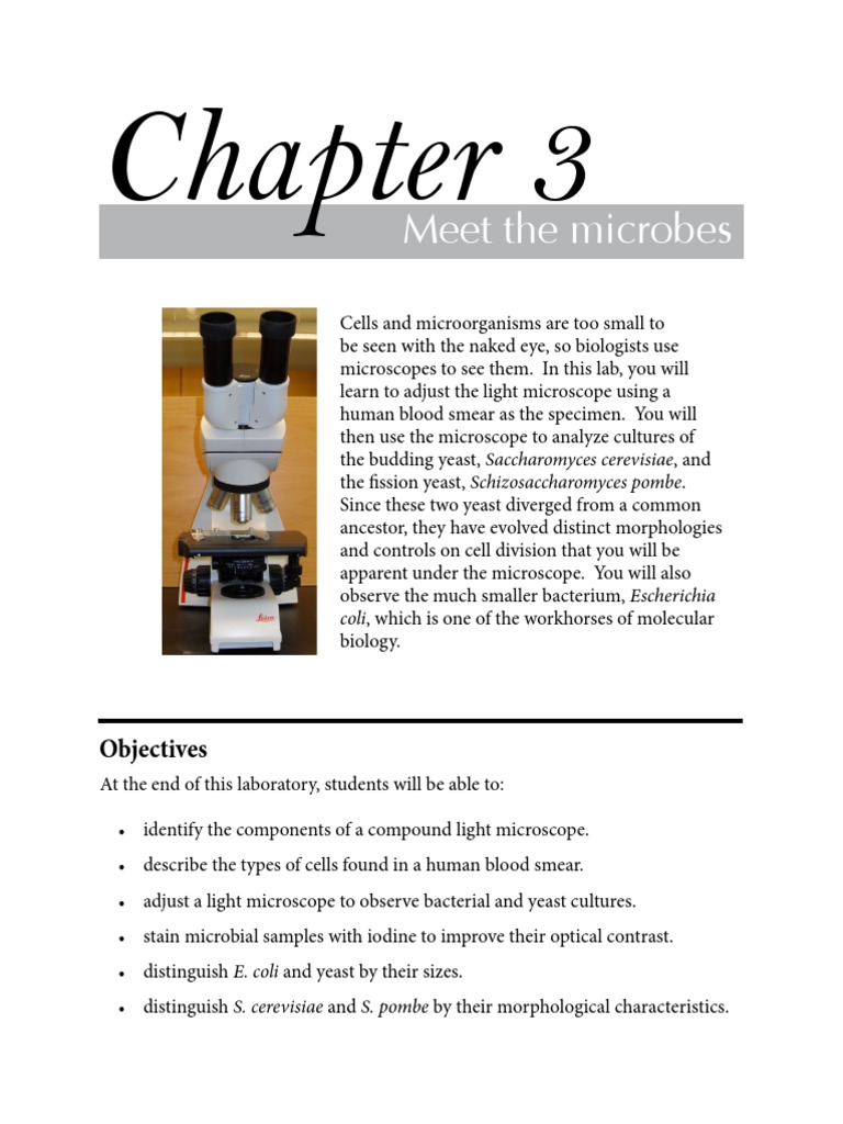Light Microscopy Lab Guide | PDF | Staining | Microscope