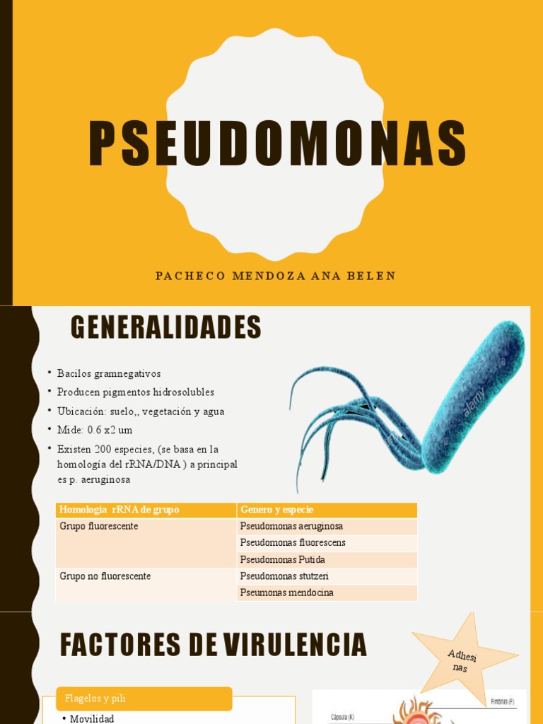 Pseudomonas | PDF