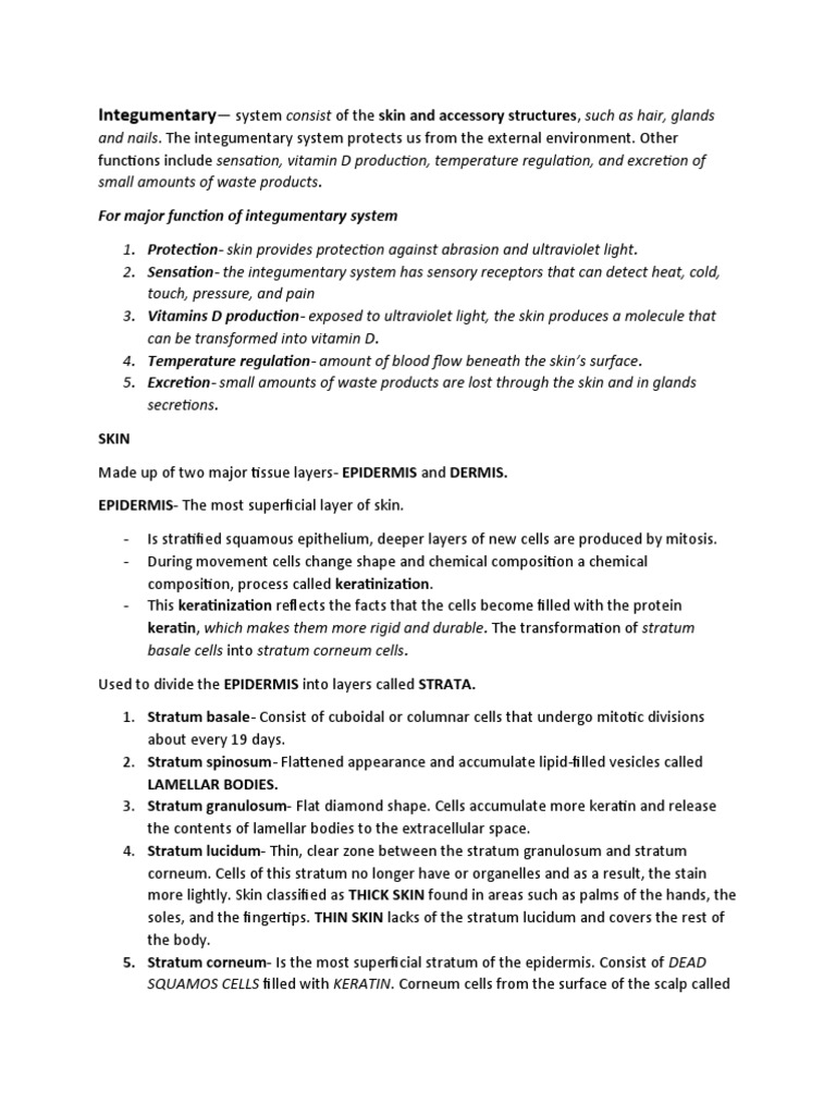 Integumentary System Reviewer | PDF | Skin | Integumentary System