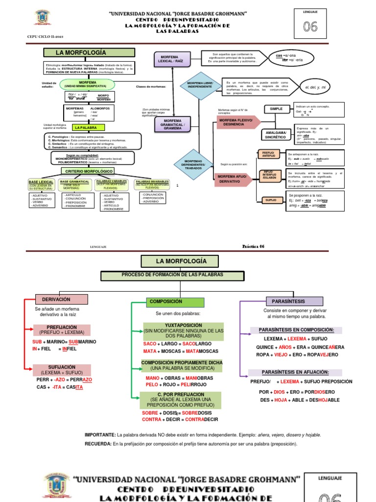 Practica #06 Lenguaje - Sin Claves. | PDF | Palabra | Morfología ...