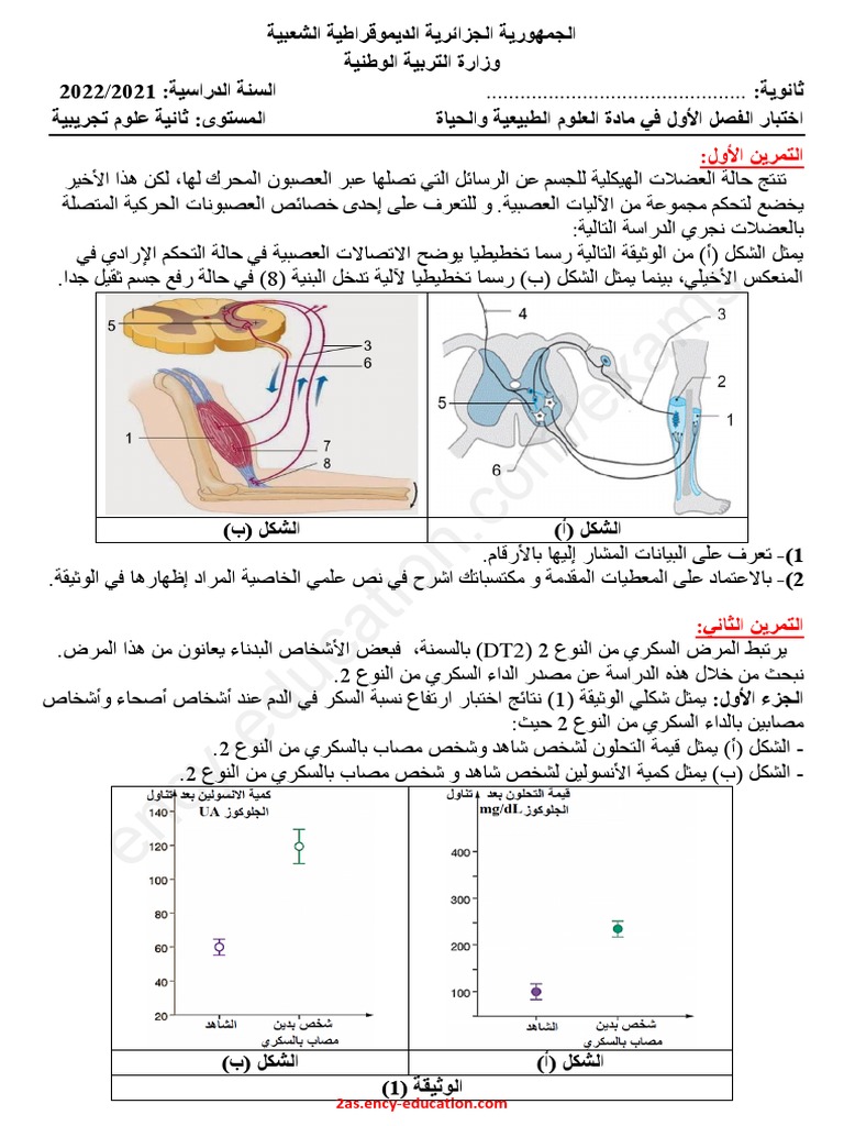 Dzexams 2as Sciences 2022585 | PDF