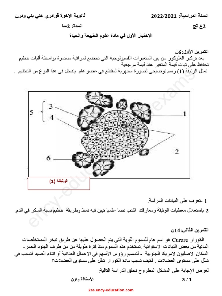 Dzexams 2as Sciences 3055313 | PDF