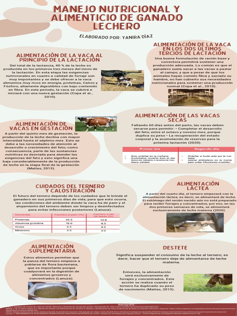 Infografías | PDF | Vacas | Amamantamiento