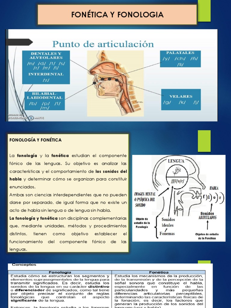 Características de Fonética y Fonología | PDF | Fonología | Vocal