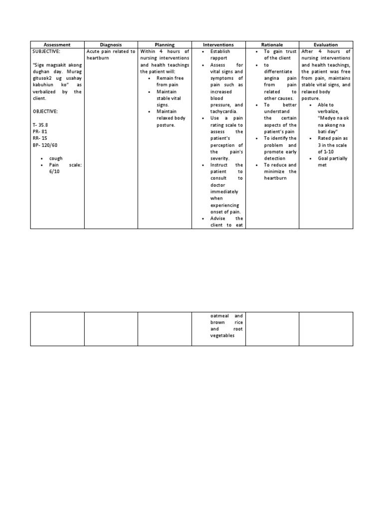NCP CHN | Download Free PDF | Pain | Heartburn