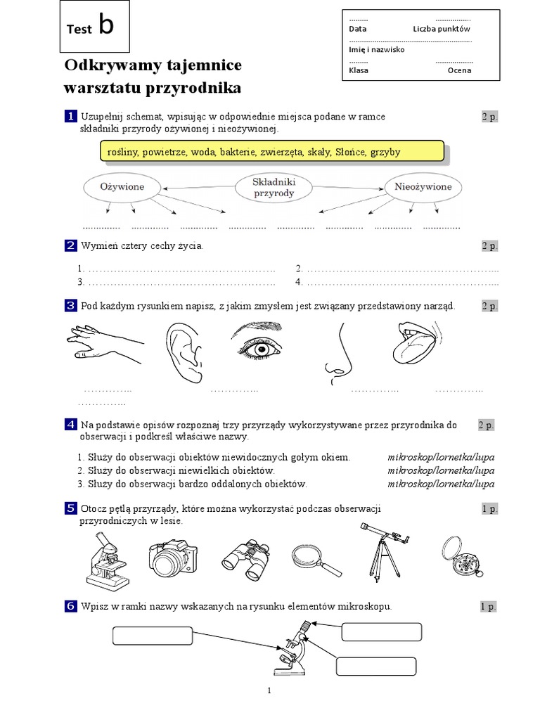 PRZYRODA KL 4 Warsztat - Przyrodnika - Wersja - B | PDF