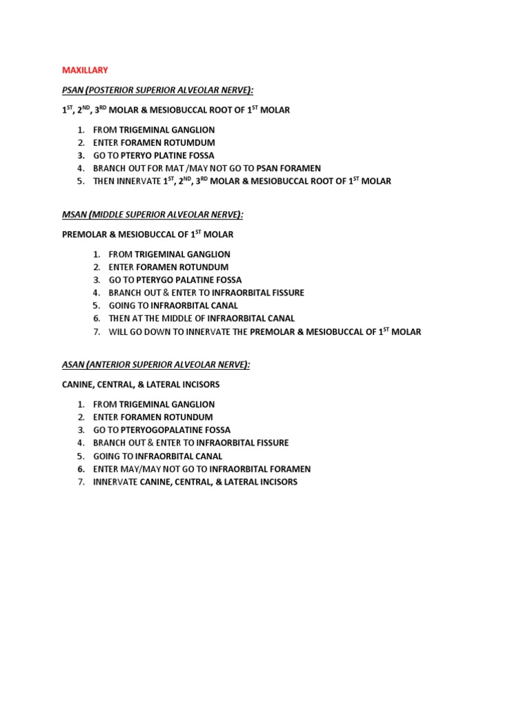 Nerve Tracing | PDF | Mouth | Human Anatomy
