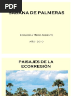 Sabana de Palmeras en Perú: Clima y Fauna | PDF | Clima | Suelo