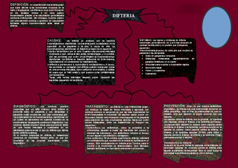 DIFTERIA | PDF | Enfermedades y trastornos | Pediatría