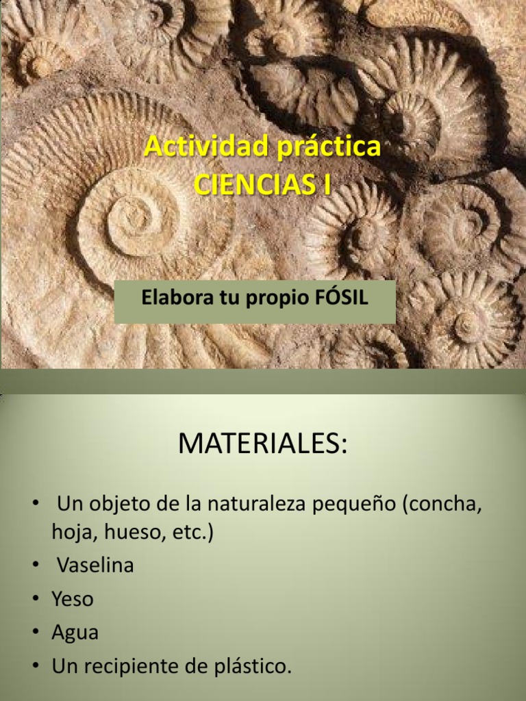 Actividad práctica-CIENCIAS | PDF | Hogar, jardinería y bricolaje