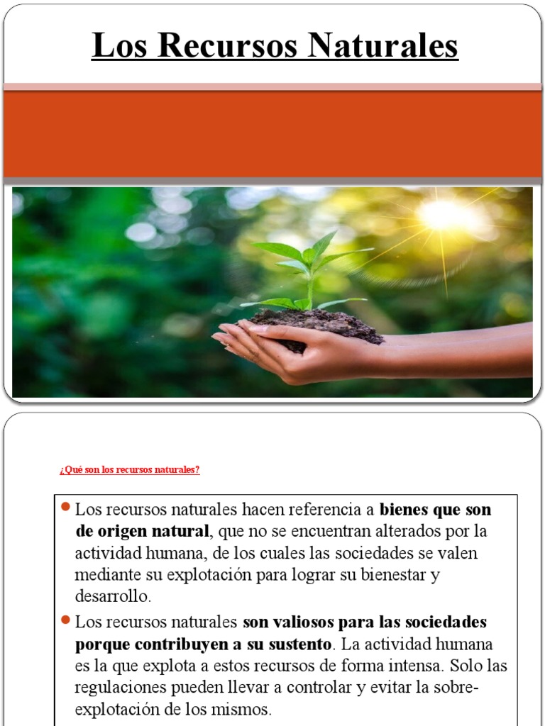 Recursos Naturales en Argentina: Tipos y Conservación | PDF | Energía ...