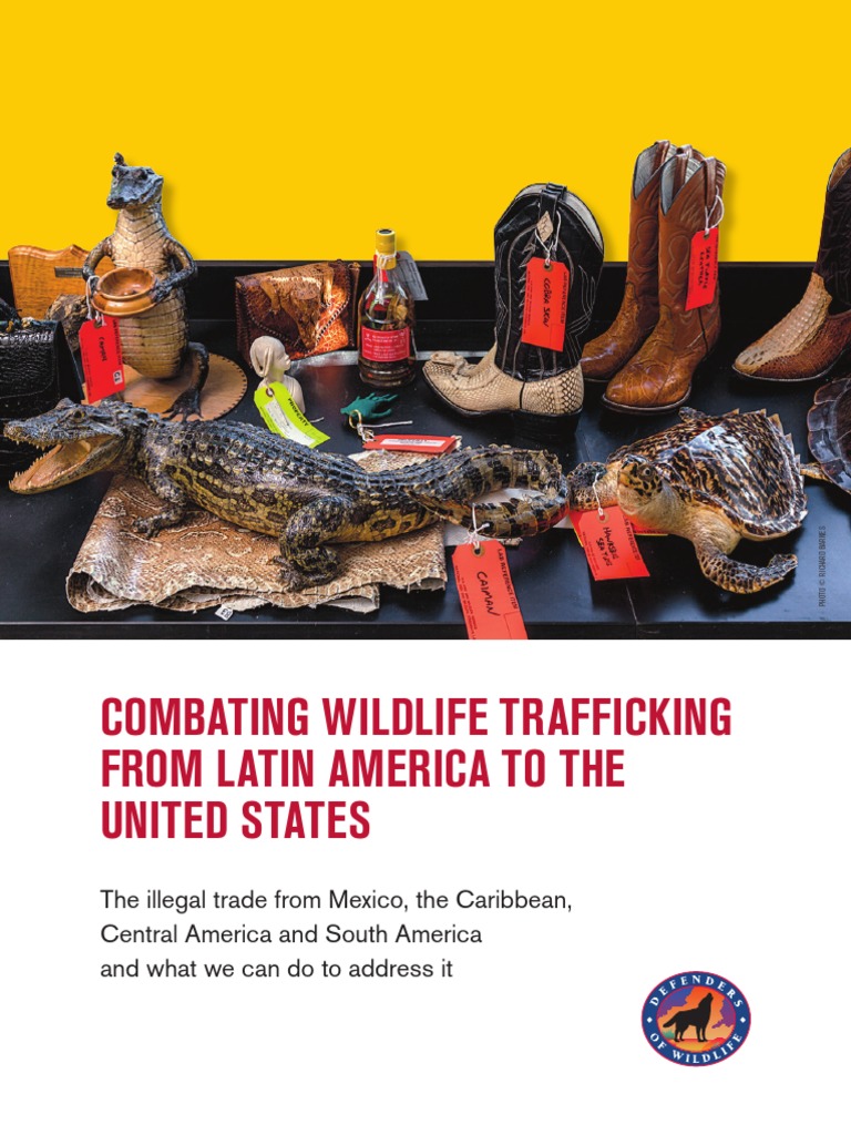 Combating Wildlife Trafficking From Latin America To The United States ...