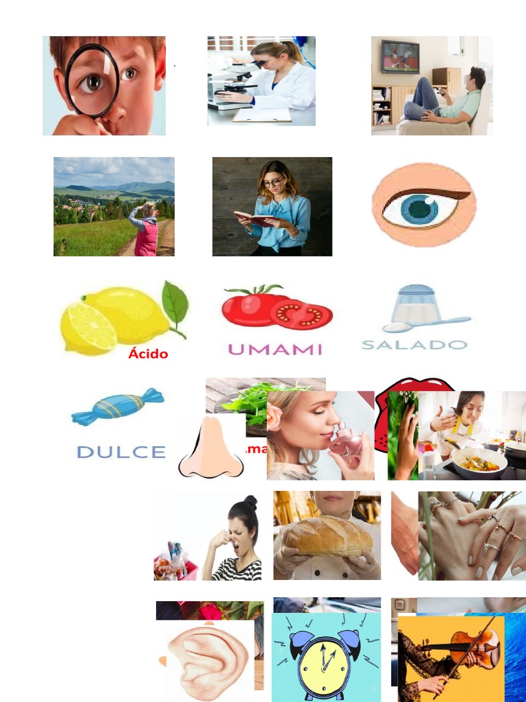 Tarea Abi y Sofi | PDF