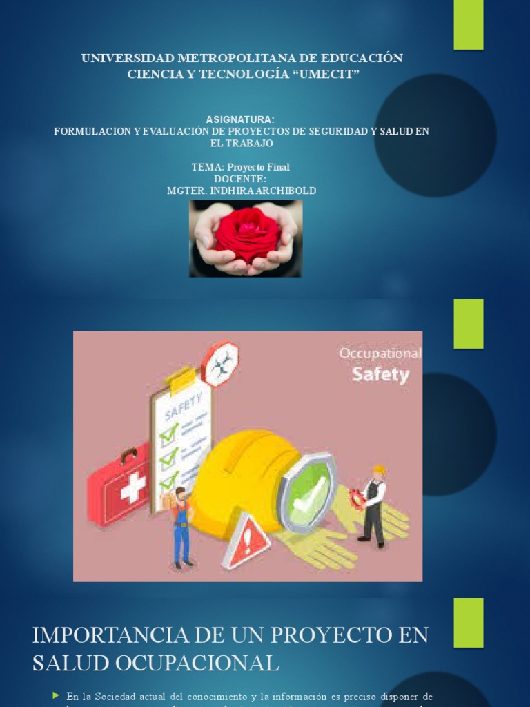 Salud Ocupacional Proyecto Final 2022 Pdf Seguridad Y Salud